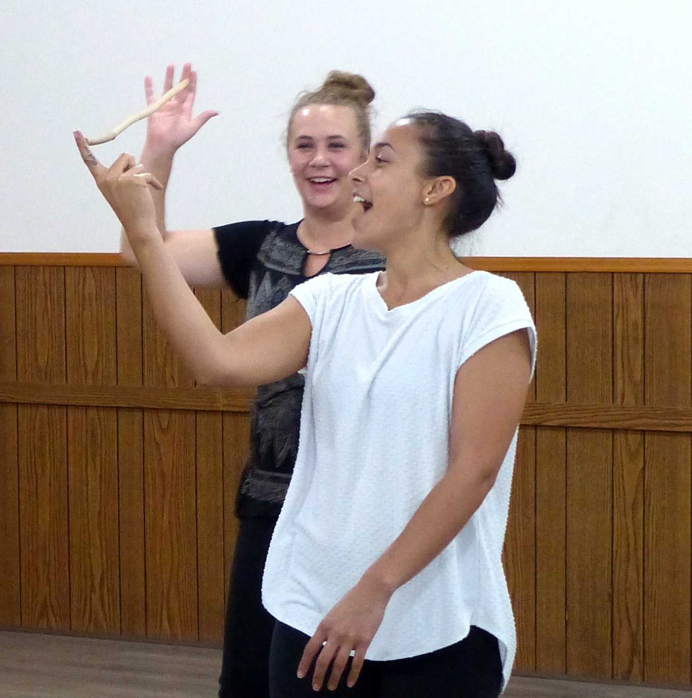 Coaching | Heather Dick | Sirius Theatrical Company | Actor. Director ...